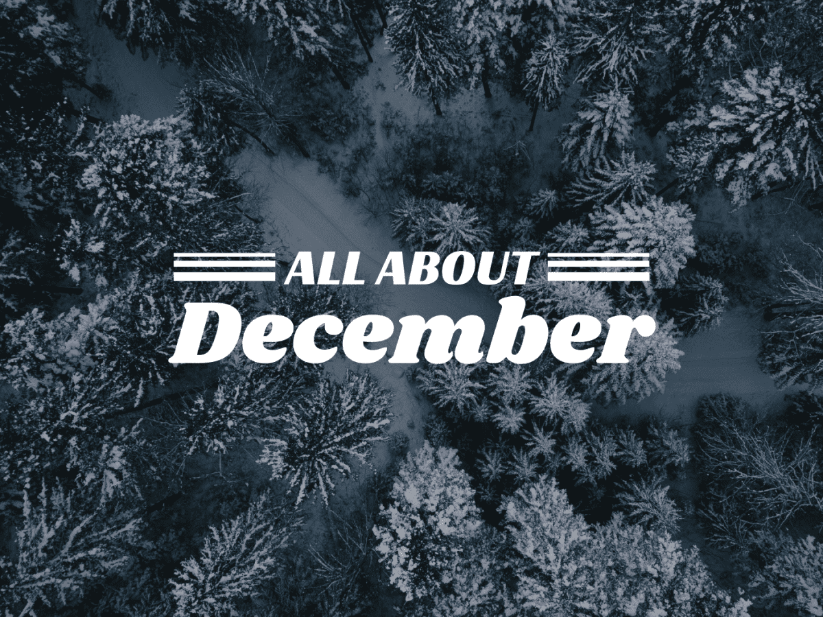December 2024 PresPress | Spring Branch Presbyterian Church December ...
